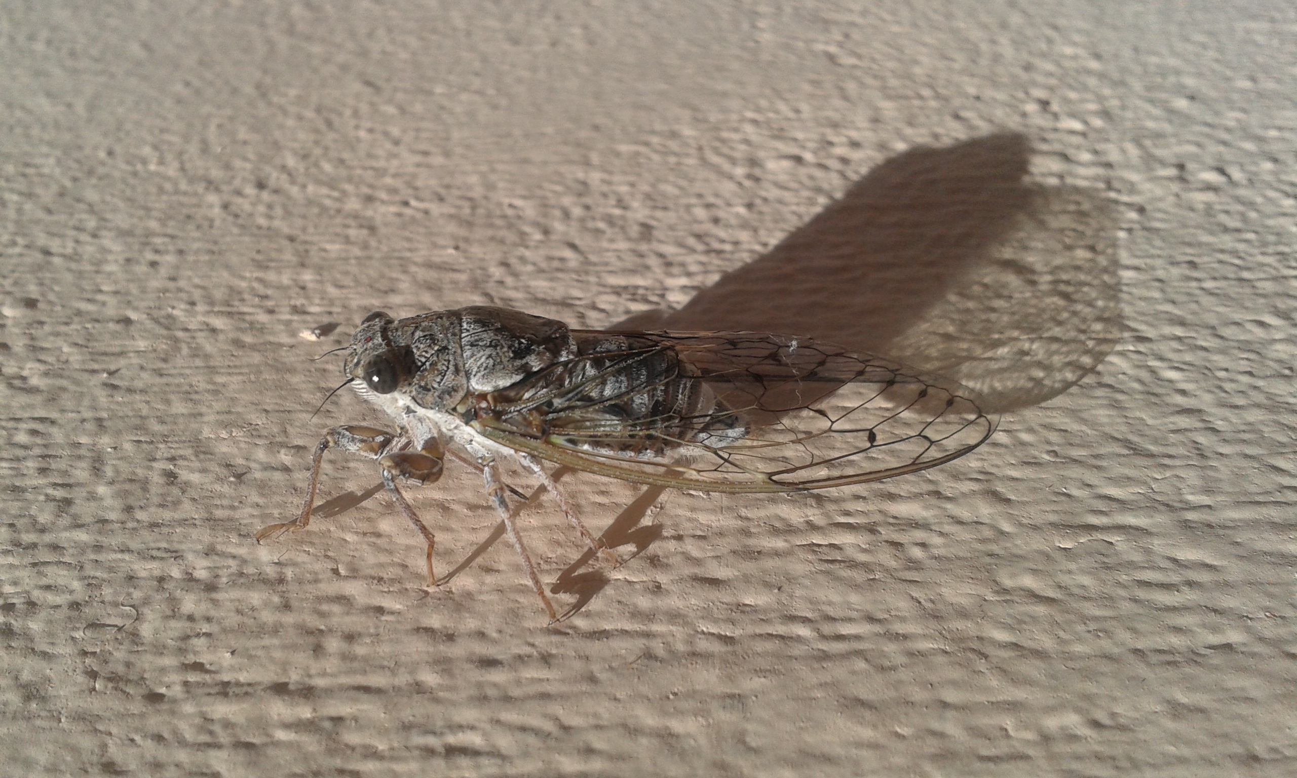 Bíró Zsófia élménybeszámolója