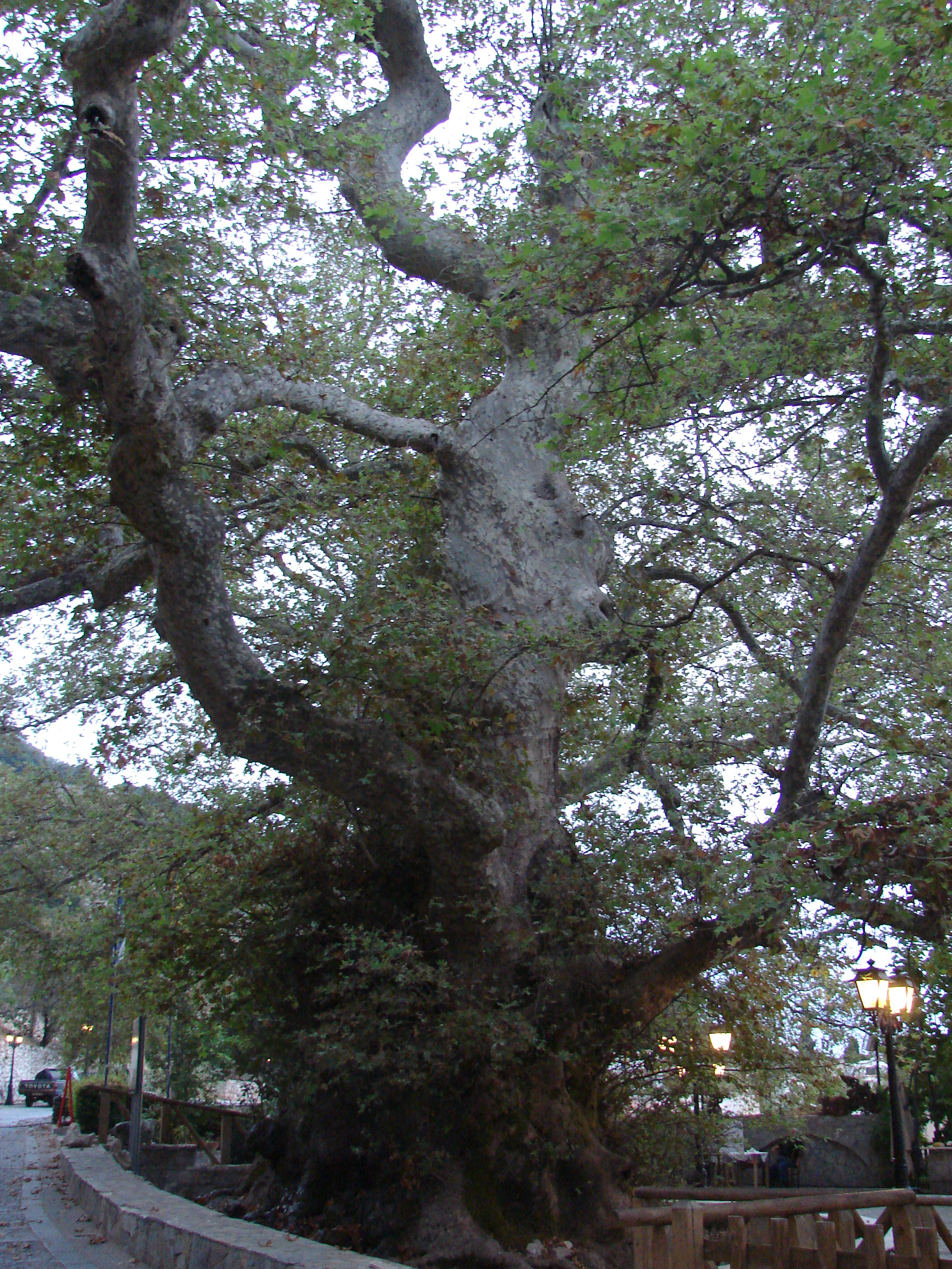 Bíró Zsófia élménybeszámolója